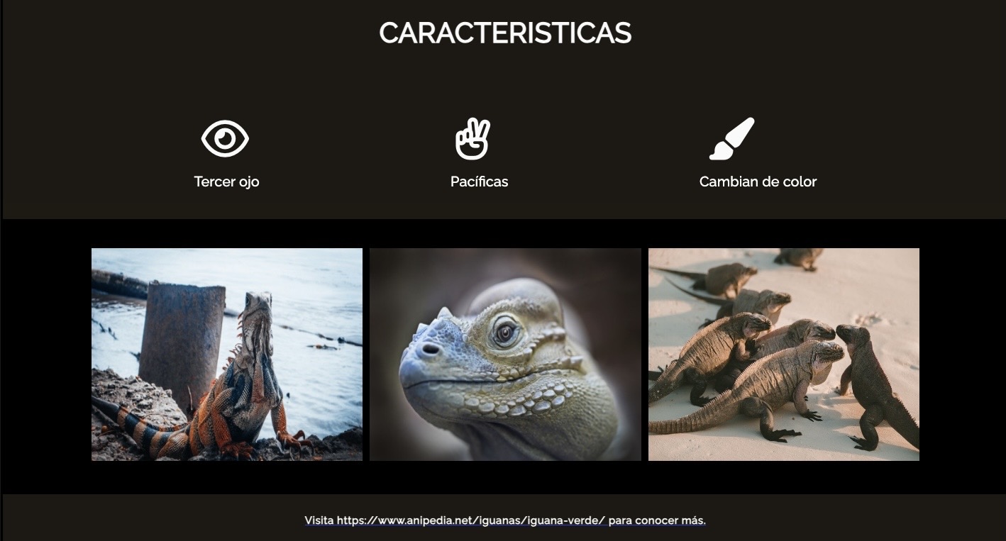 Portafolio Alejandro Stuardo